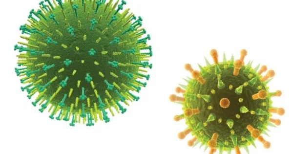 Токсини и детоксикация