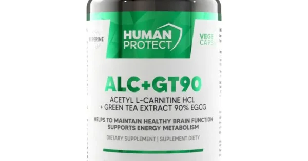 Human Protect ALC + GT90 | Acetyl L-Carnitine & Green Tea Extract with ...